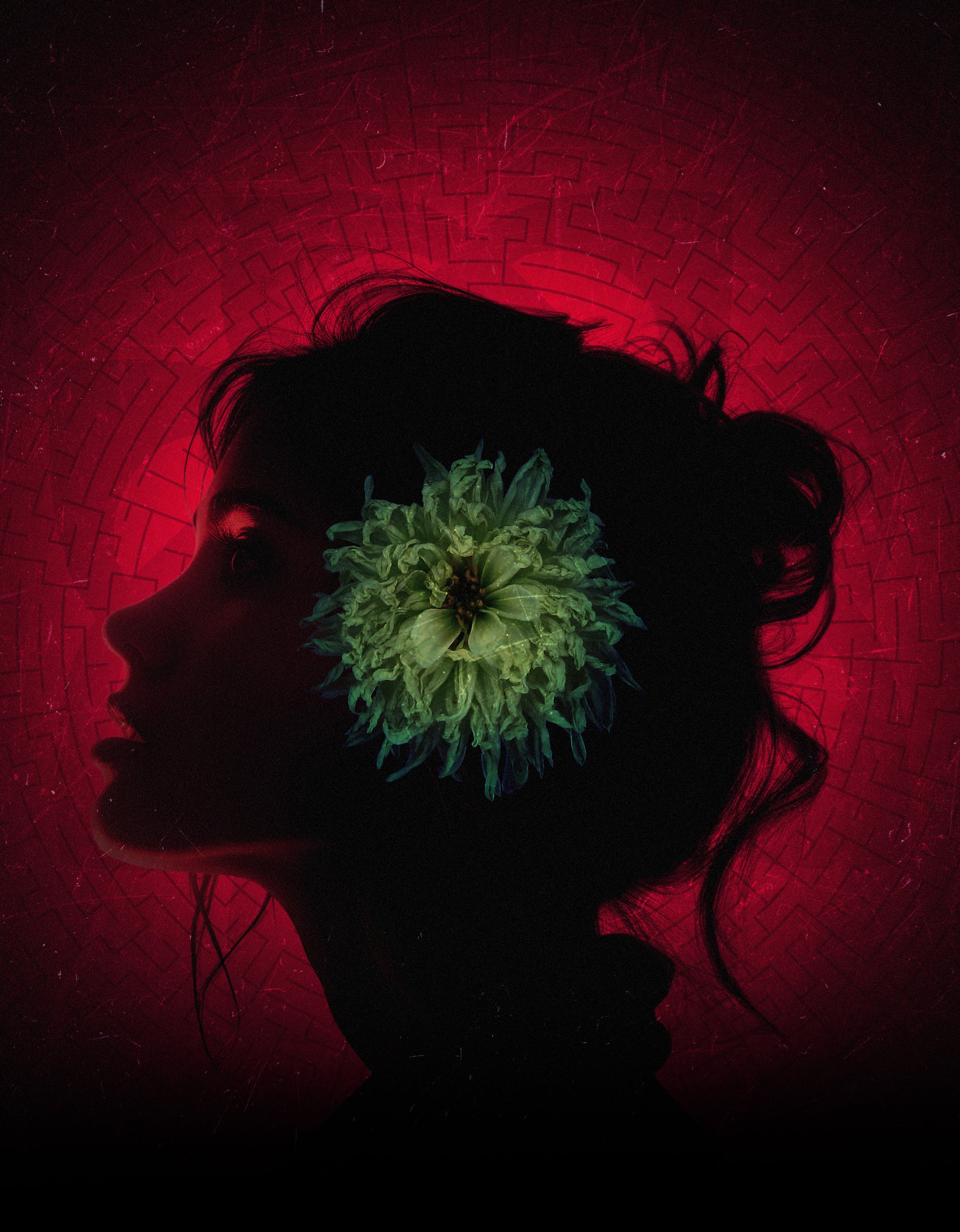 BREAKING BENJAMIN | THE REAL OFFICIAL STORE